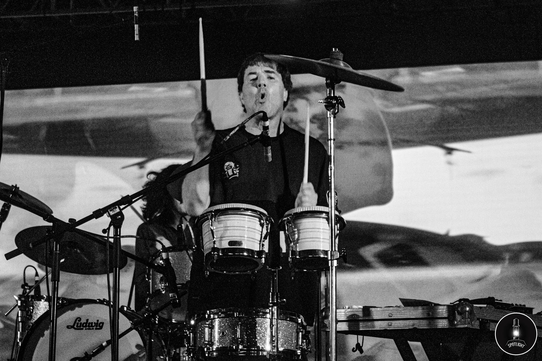 Festival Wild O’ Fest 2024: Una Noche Legendaria de Rock, Surf y Garage ...